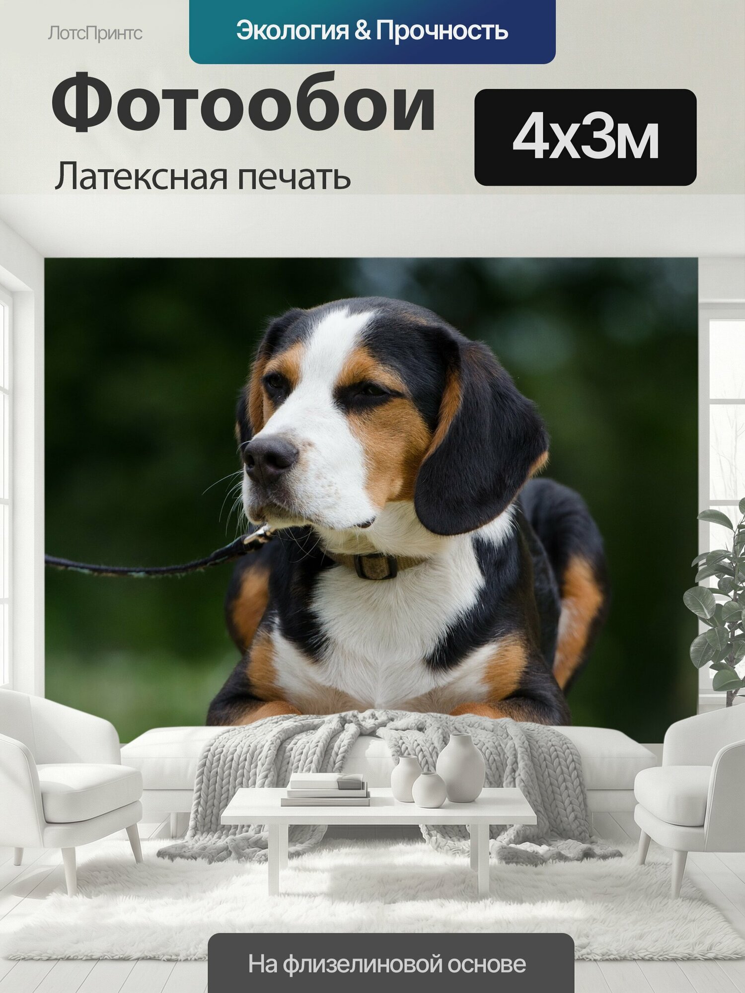Фотообои моющиеся ударопрочные "Гибридный, милый, бигль гибрид" 400x300 см. латексная печать