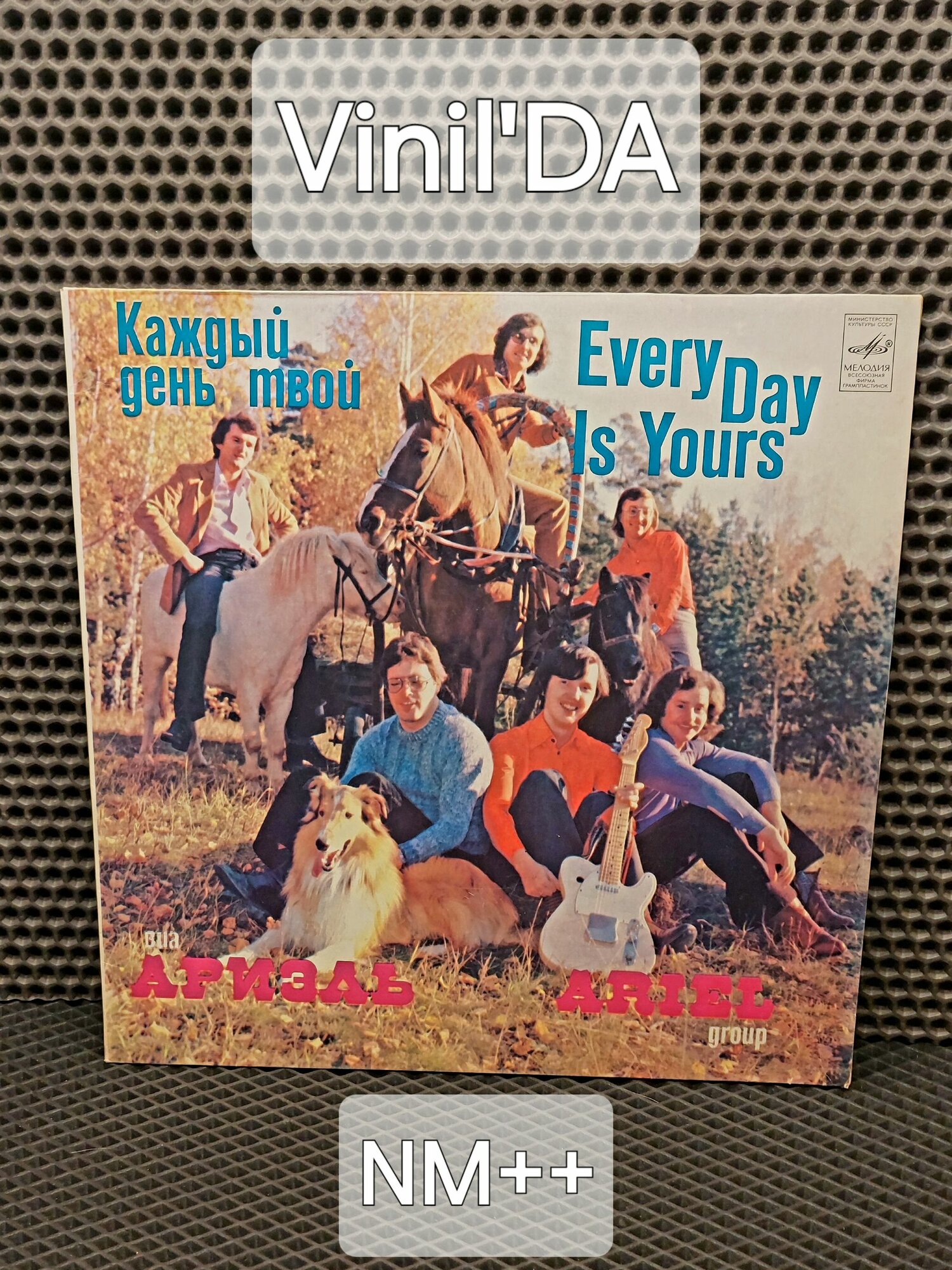 Виниловая пластинка ВИА Ариэль "Каждый День Твой". LP1.