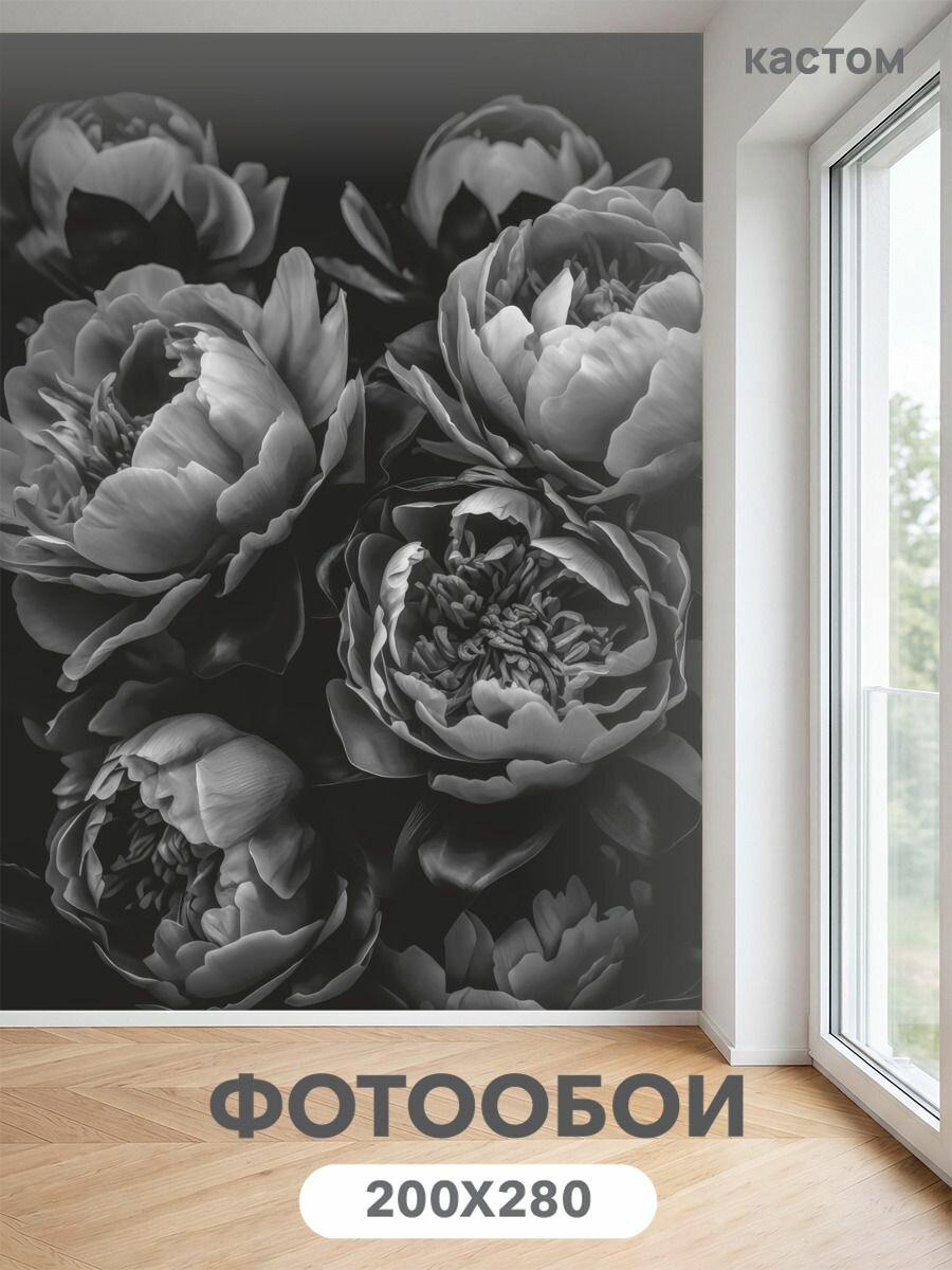 Фотообои на стену флизелиновые 3d Пионы 200х270 см