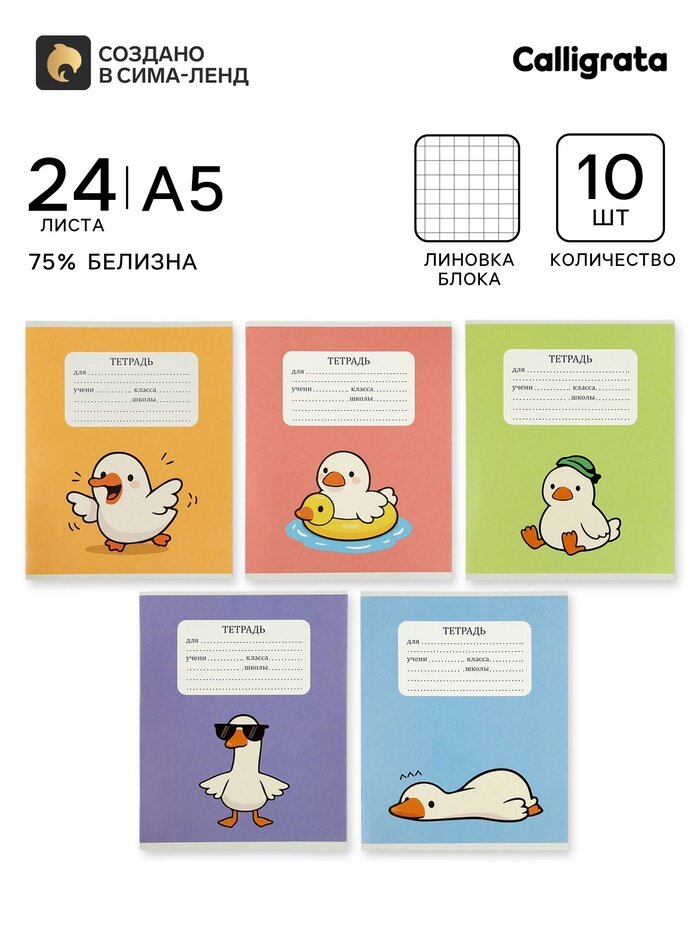 Calligrata Тетрадь 10 штук, 24 листа в клетку Calligrata «Уточка», блок №2, 5 видов