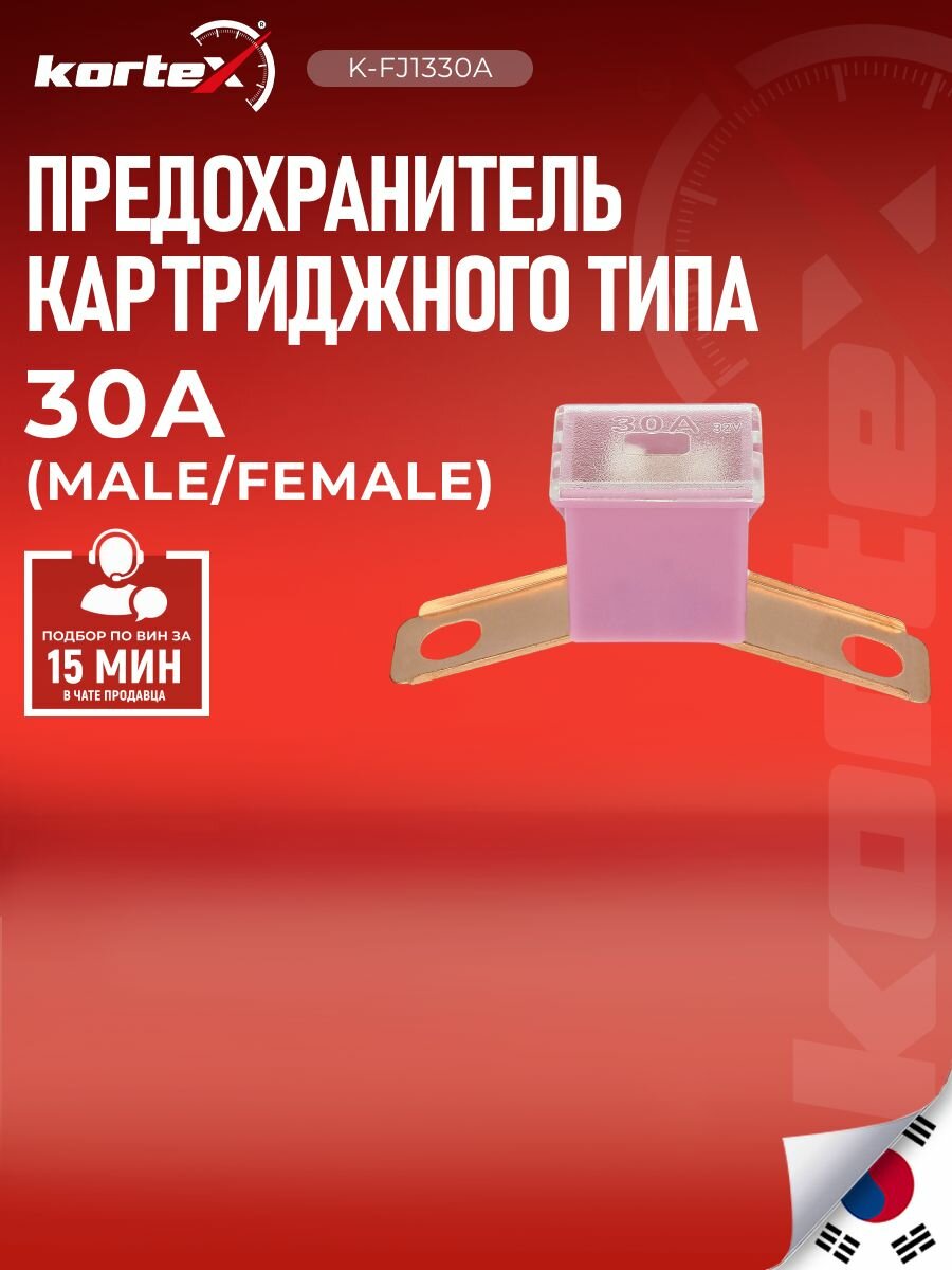 Предохранитель картриджного типа ( male/female ) 30A