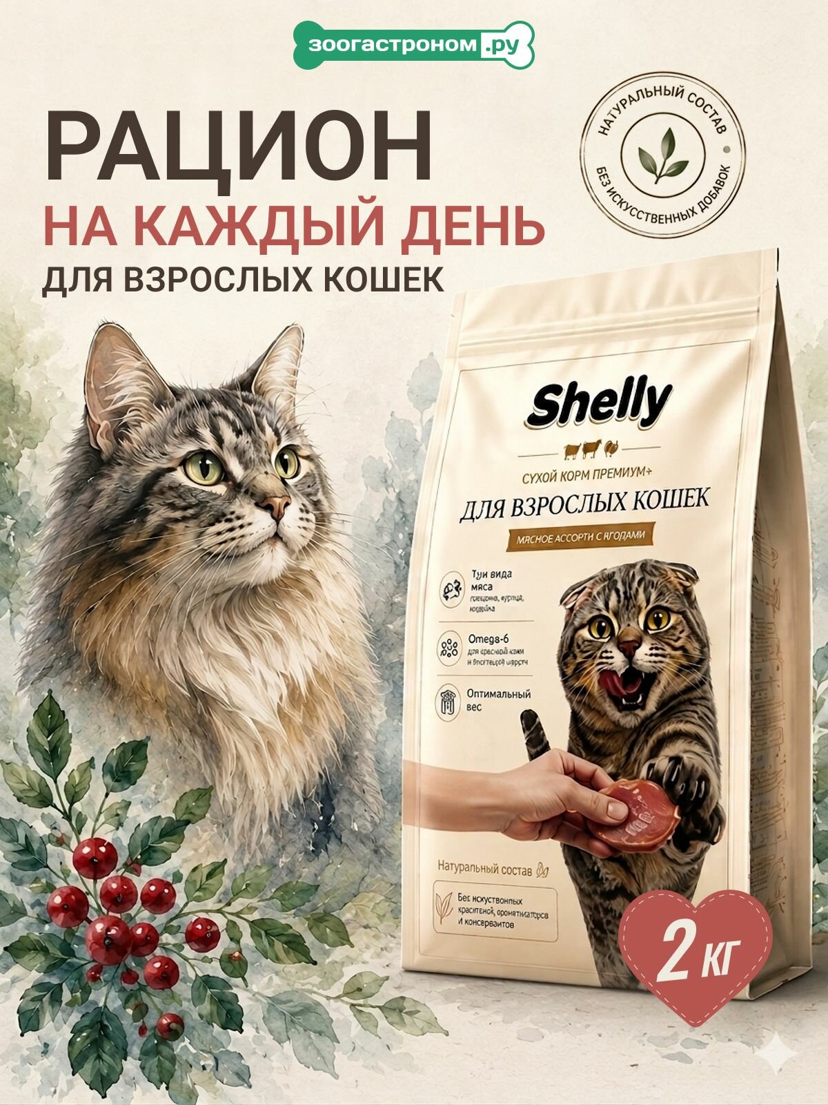 Shelly сухой корм для кошек мясное ассорти с ягодами 2кг