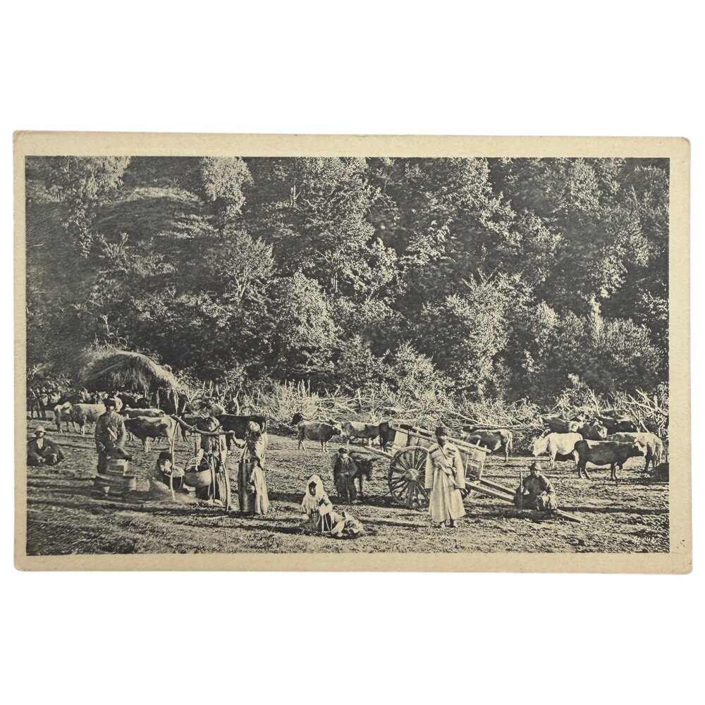 Почтовая открытка "Карачаевский кош в ущелье реки Хумары" 1900-1917 гг. Российская Империя