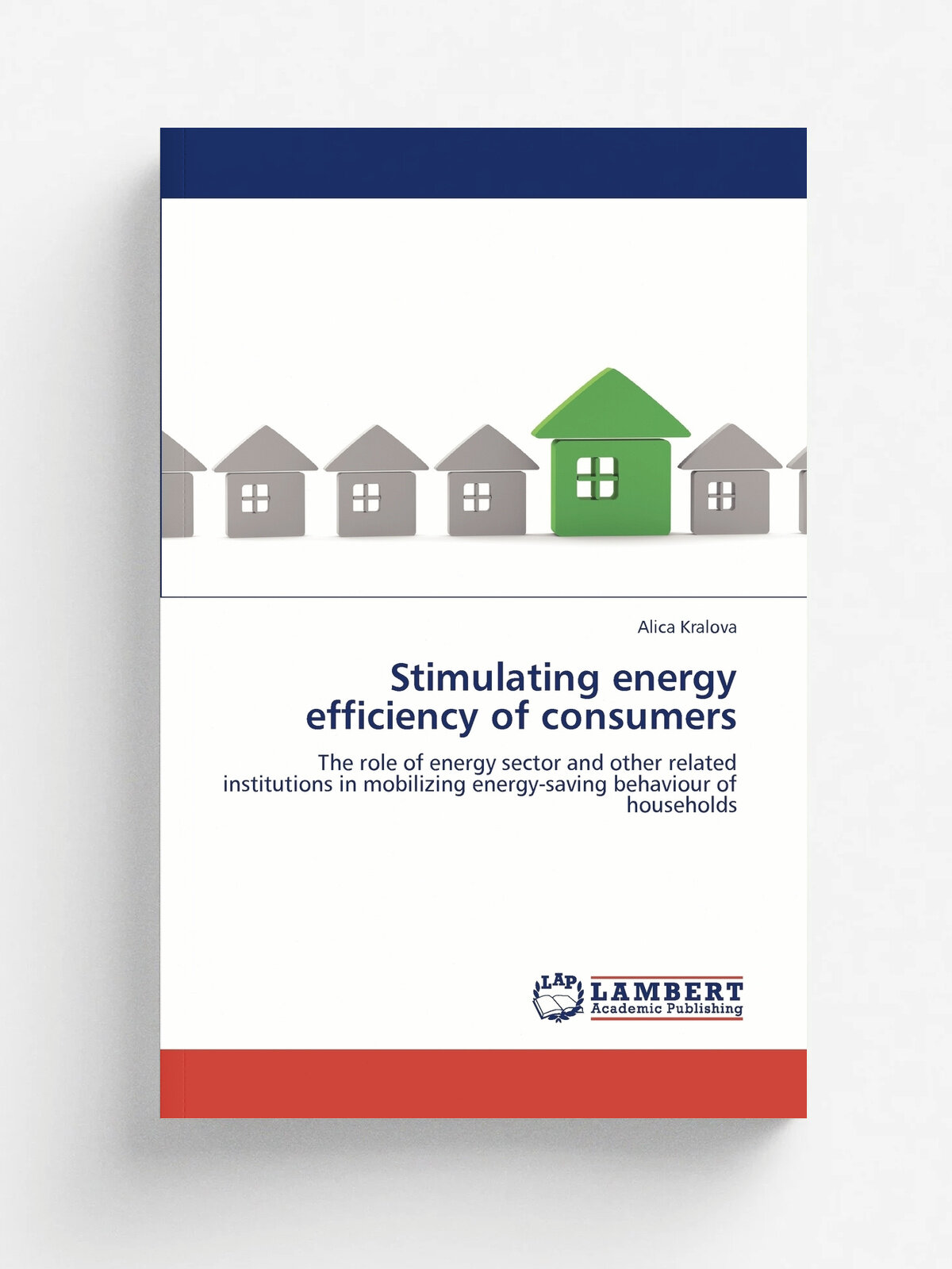 Stimulating Energy Efficiency of Consumers