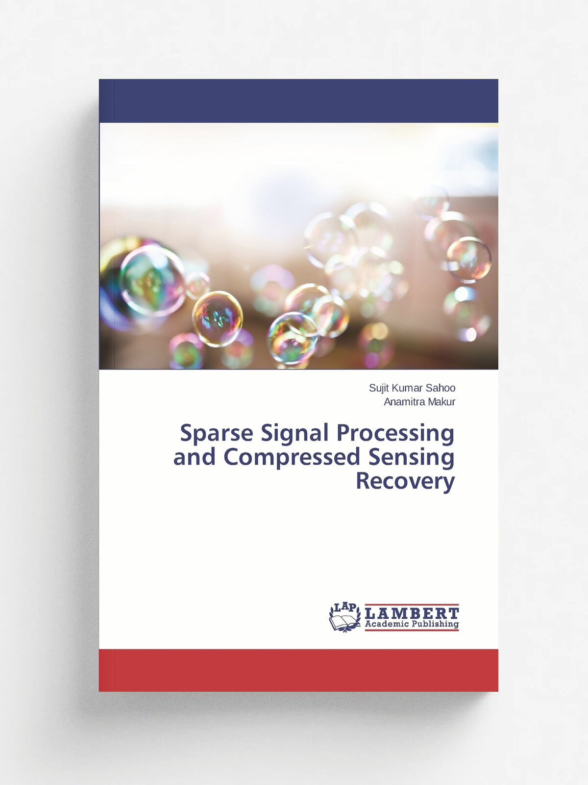 Sparse Signal Processing and Compressed Sensing Recovery