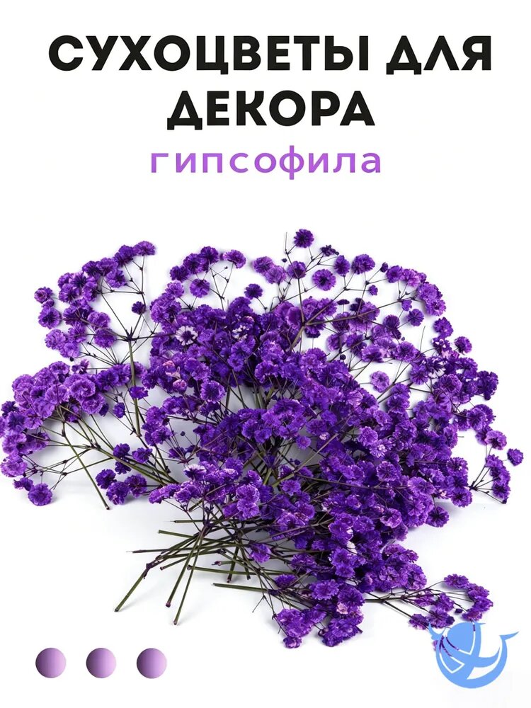 Сухоцветы Гипсофила, 16 см, 30 гр, 30 шт