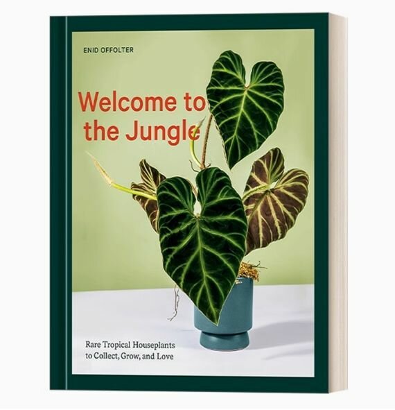 Welcome to the Jungle Enid Offolter. Home Gardening Guide.