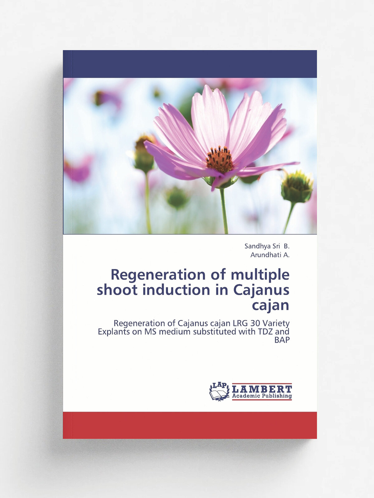 Regeneration of Multiple Shoot Induction in Cajanus Cajan