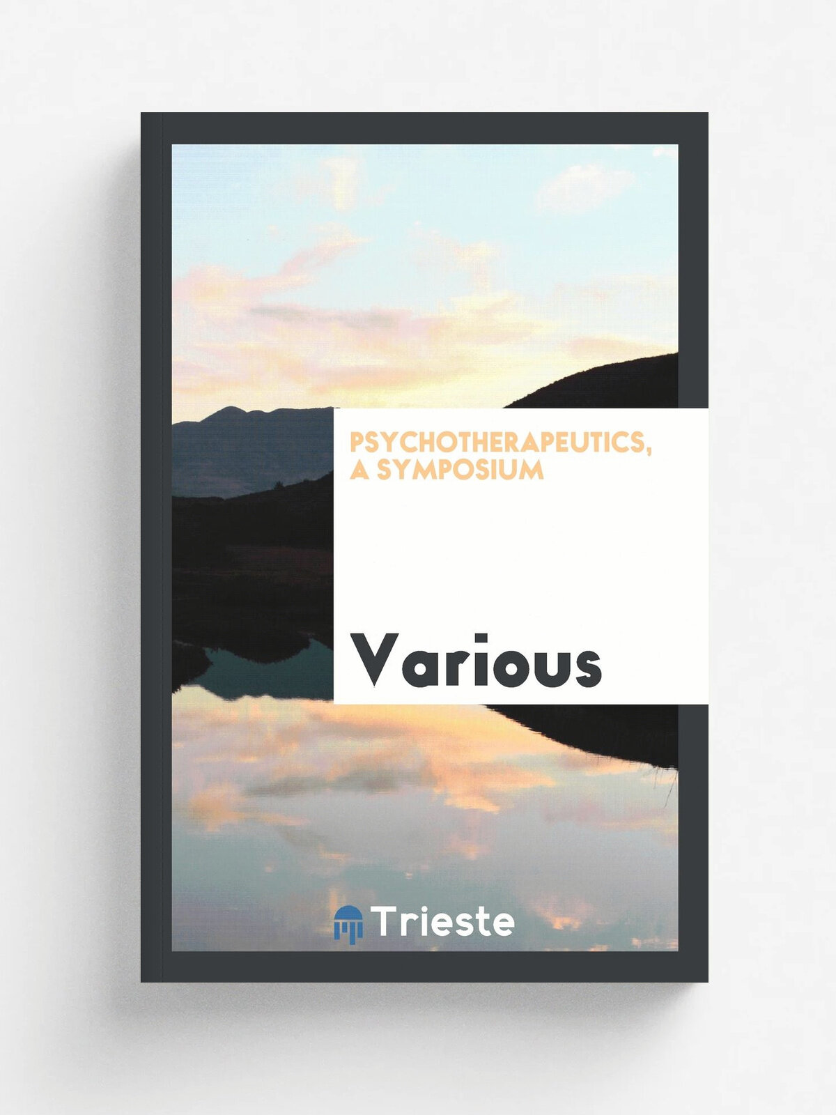 Psychotherapeutics, a symposium