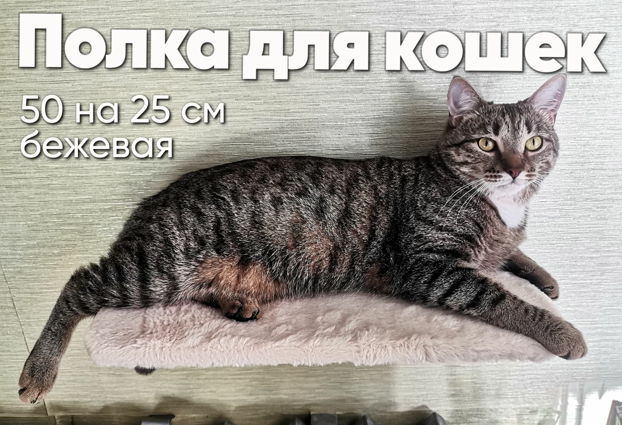Полка-лежанка для кошек, настенная, 50 х 25 см, цвет бежевый