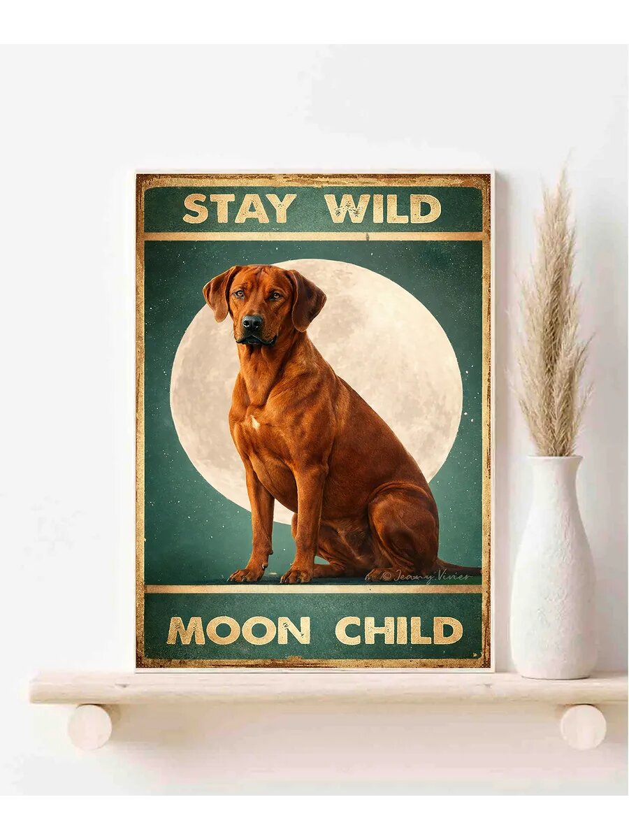 Родезийский риджбек, Stay Wild Moon Child, Плакат 30x42см