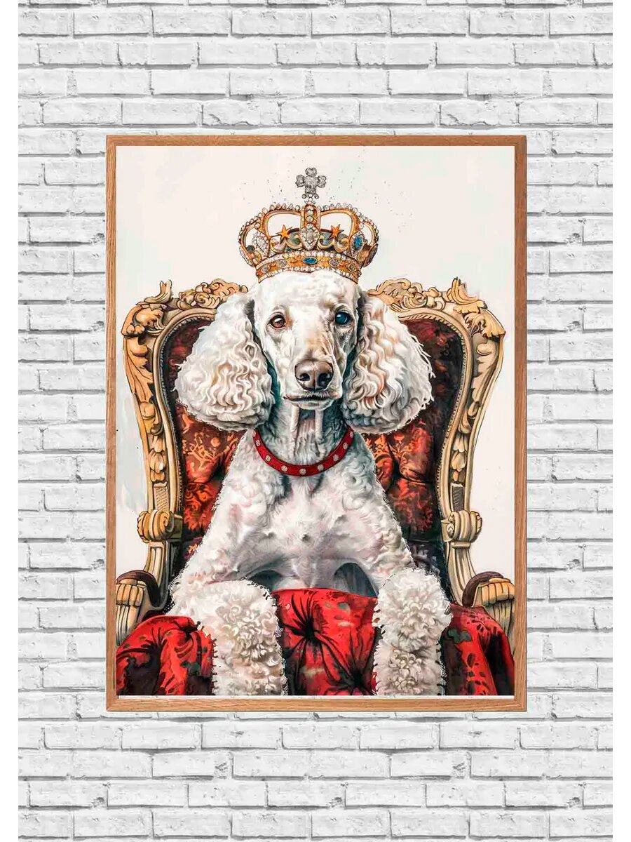 Пудель - королева Англии 0, Плакат 30x42см
