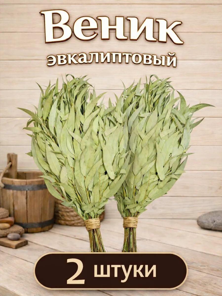 Веники эвкалиптовые для бани и сауны 2 штуки без ручки свежий сбор