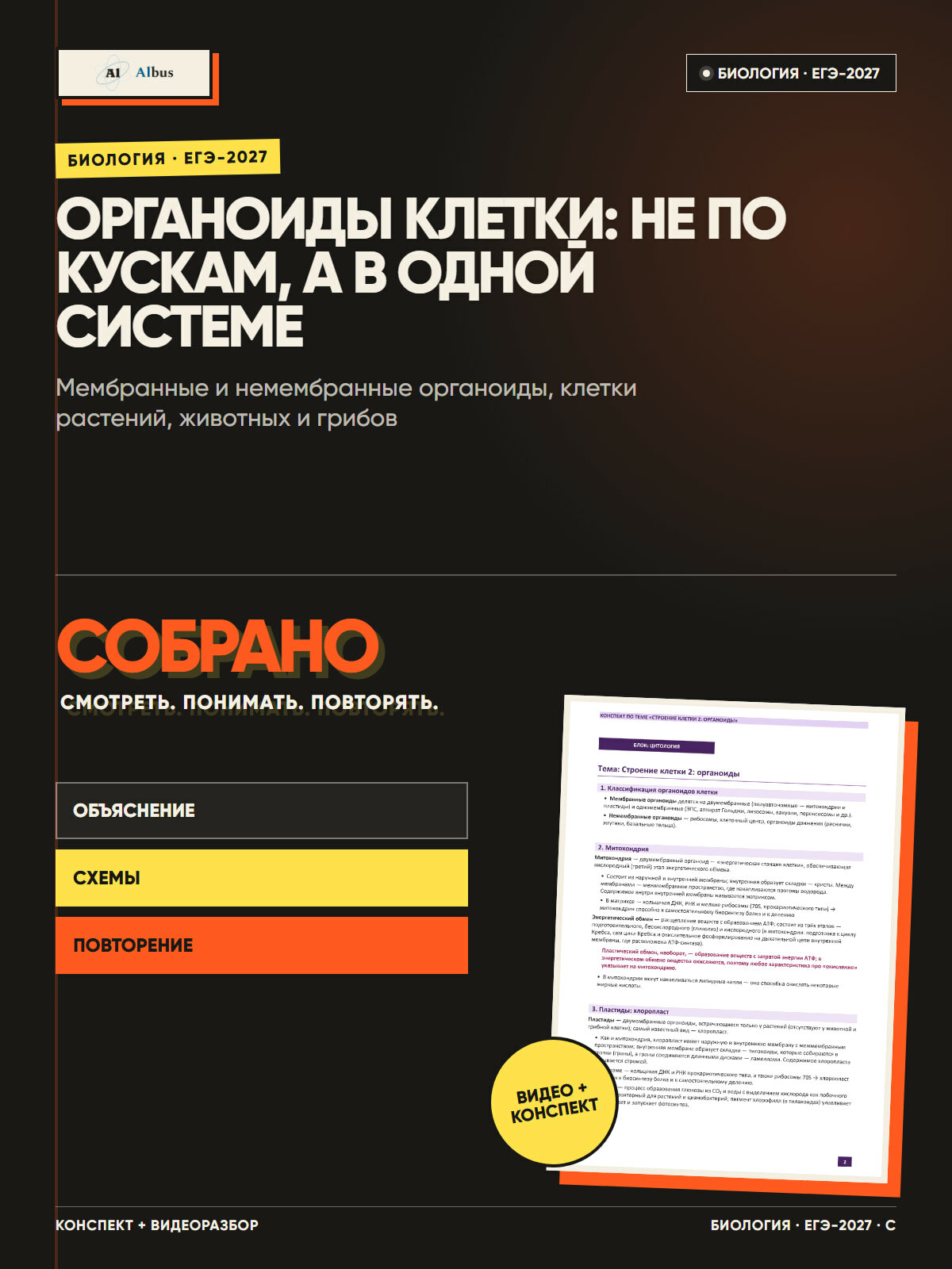 Как разобраться в теме «Органоиды клетки» к ЕГЭ-2027 — видео и конспект Альбус