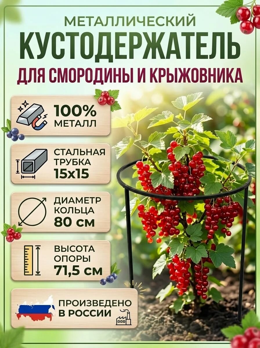 Кустодержатель садовый для кустов смородины и крыжовника металлический черный, 80 см