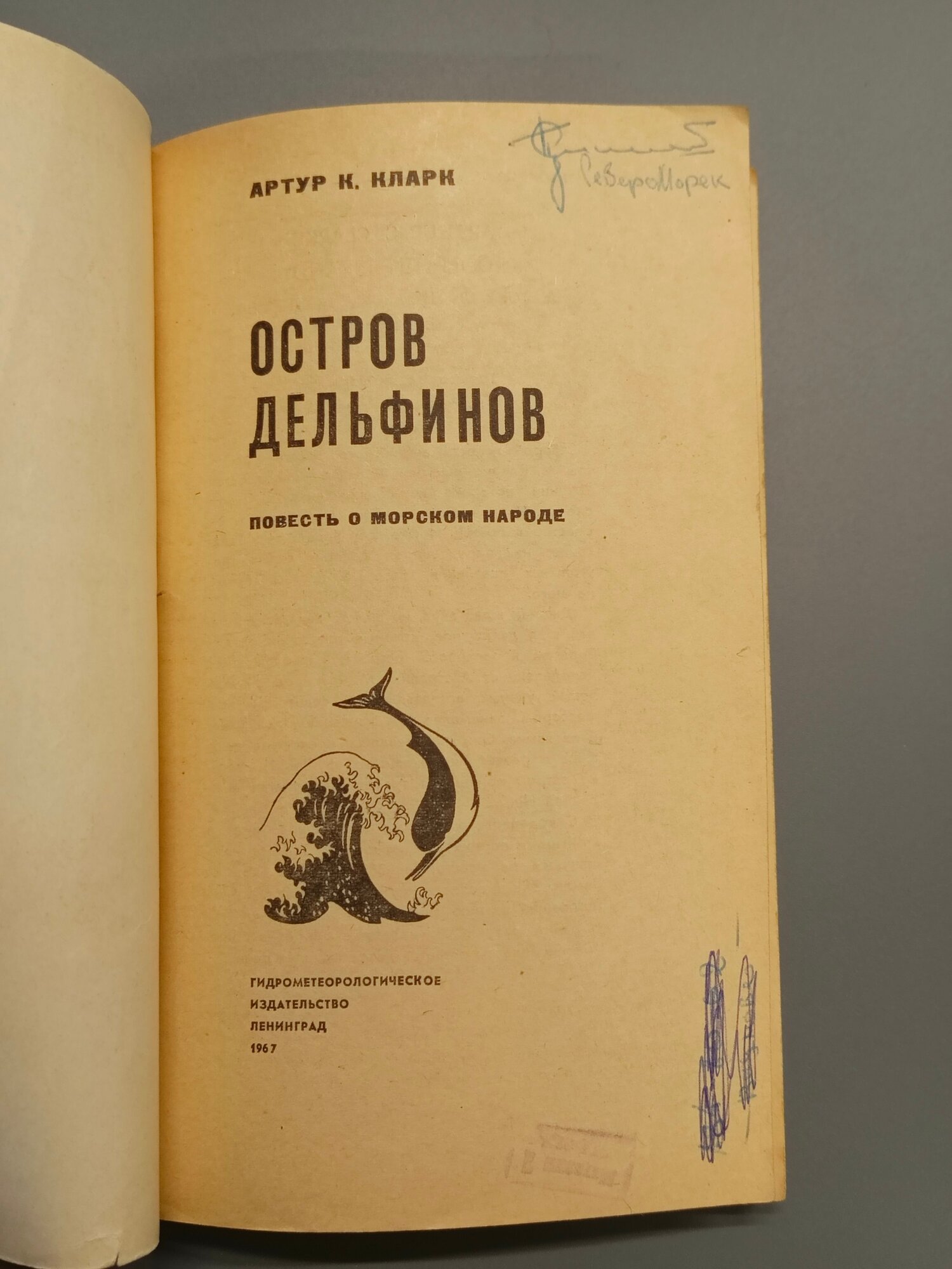 Остров дельфинов — фото 1