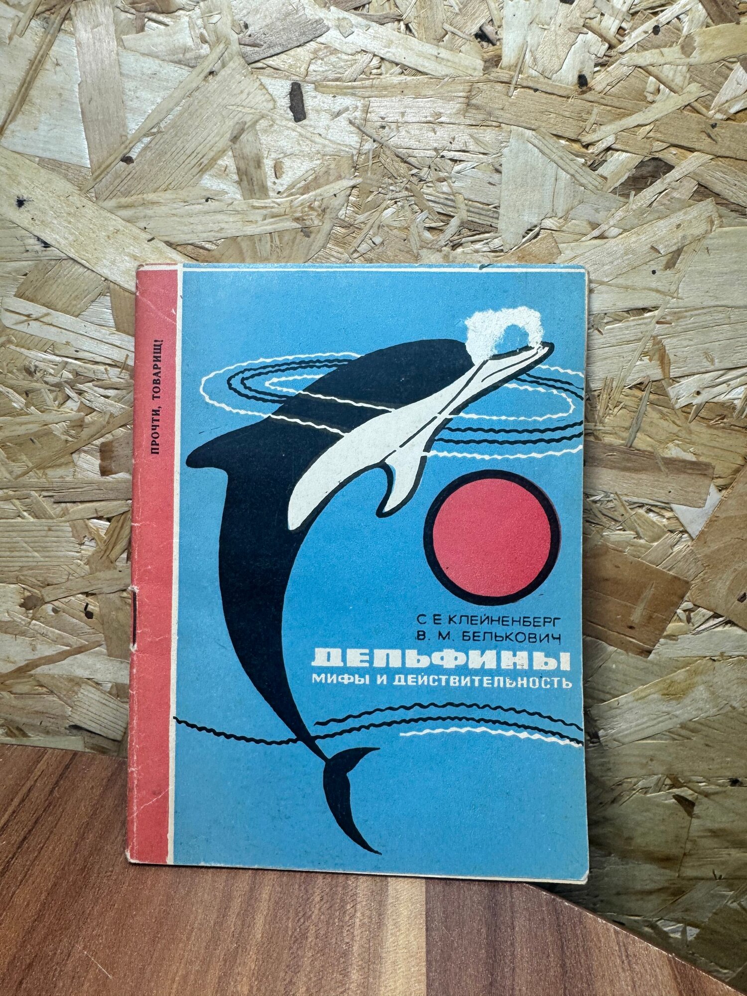 Дельфины. Мифы и действительность