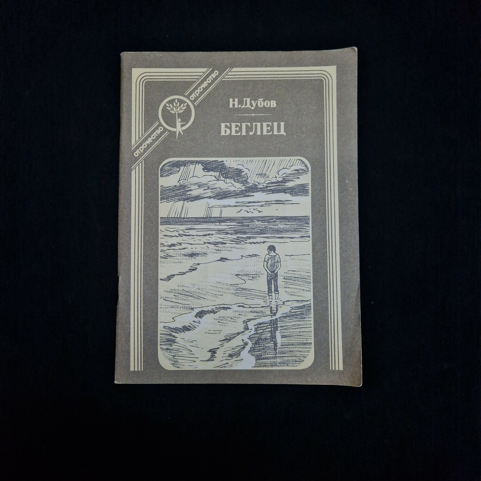 Книга винтажная, СССР. Н. Дубов, Беглец, повесть для подростков, издательство Современник