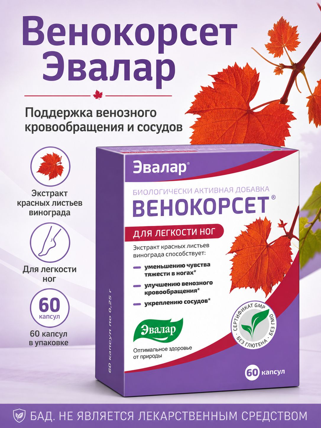 Венокорсет капс N60