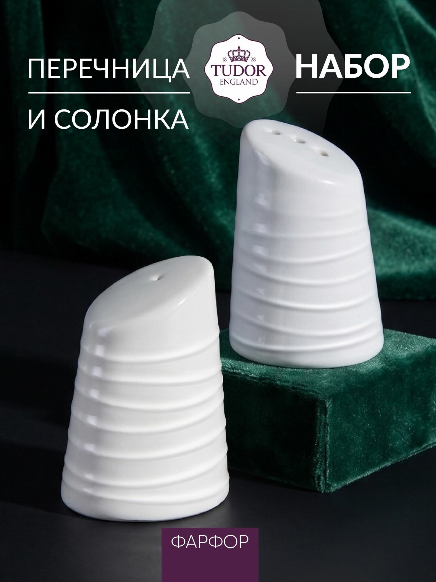 Солонка и перечница TUDOR ENGLAND набор для специй фарфор