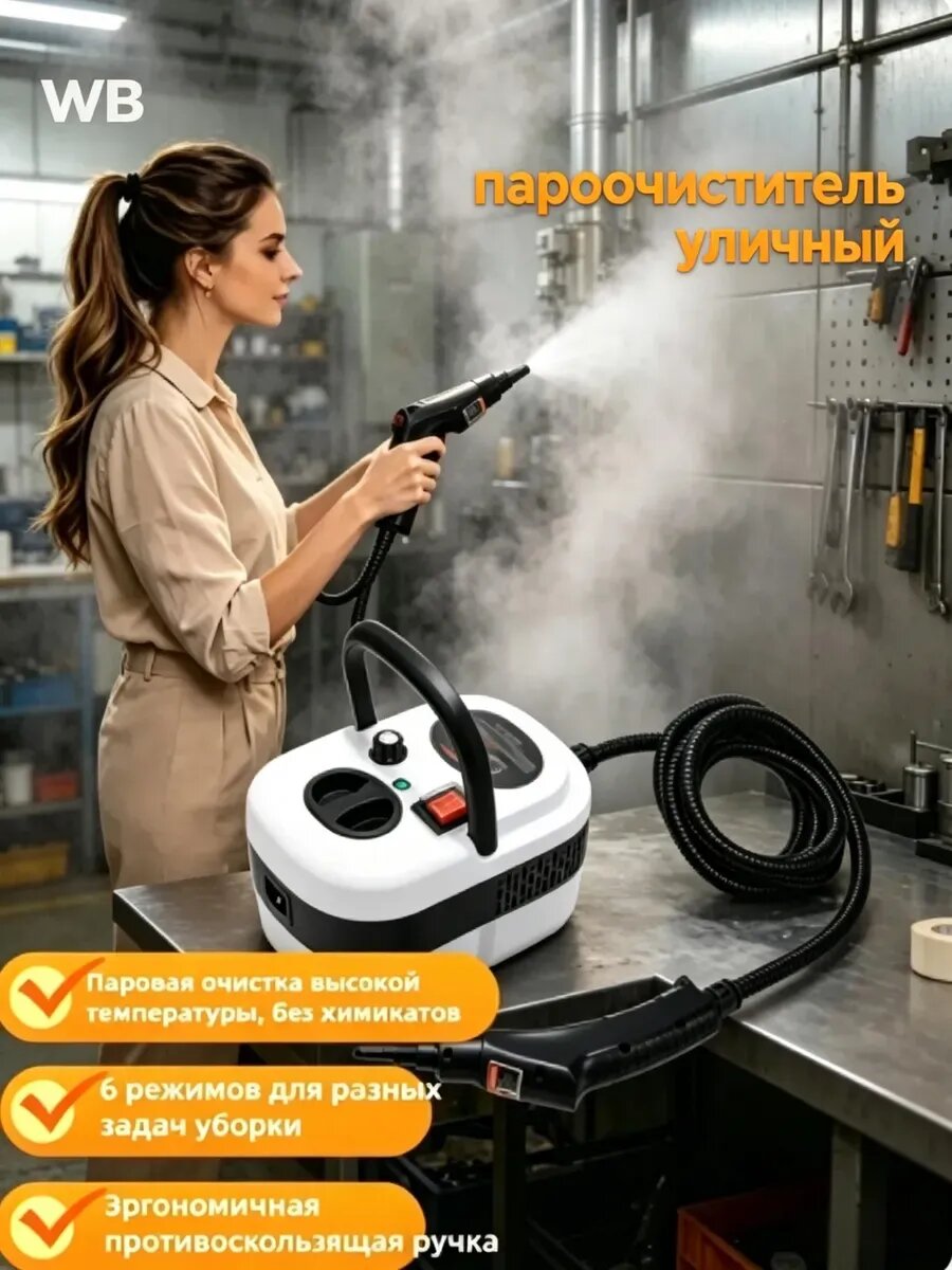 Пароочиститель уличный