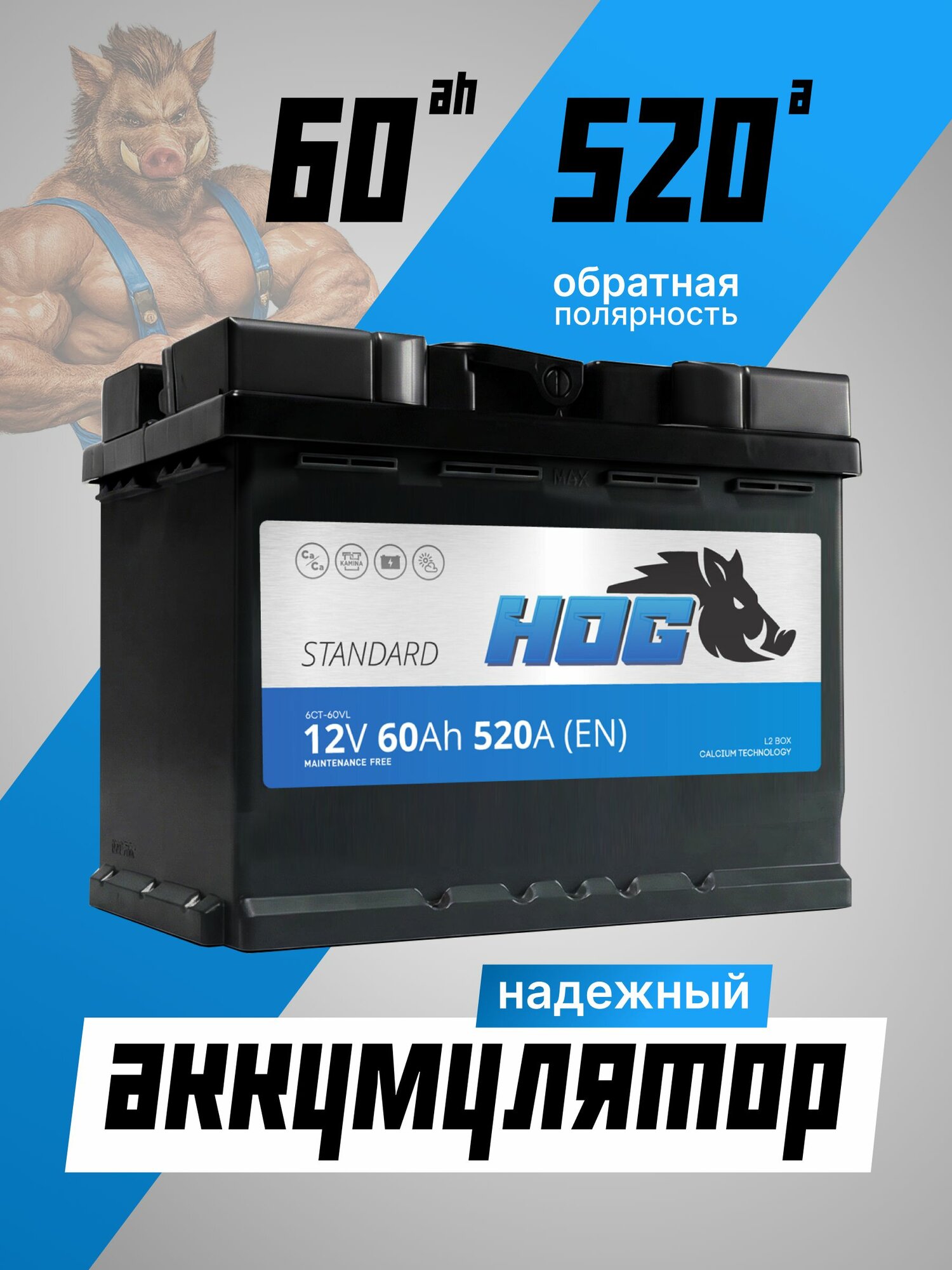 Аккумулятор автомобильный 12v 60 Ah HOG Standart 60 Ач 520 А обратная полярность 242x175x190 стартерный акб для автомобиля, машины