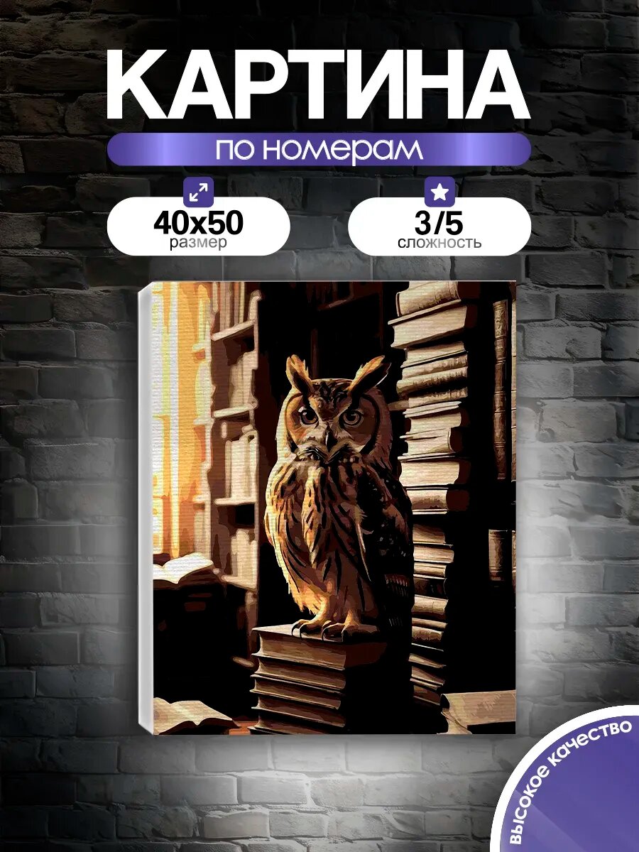 Картина по номерам Сова и книги