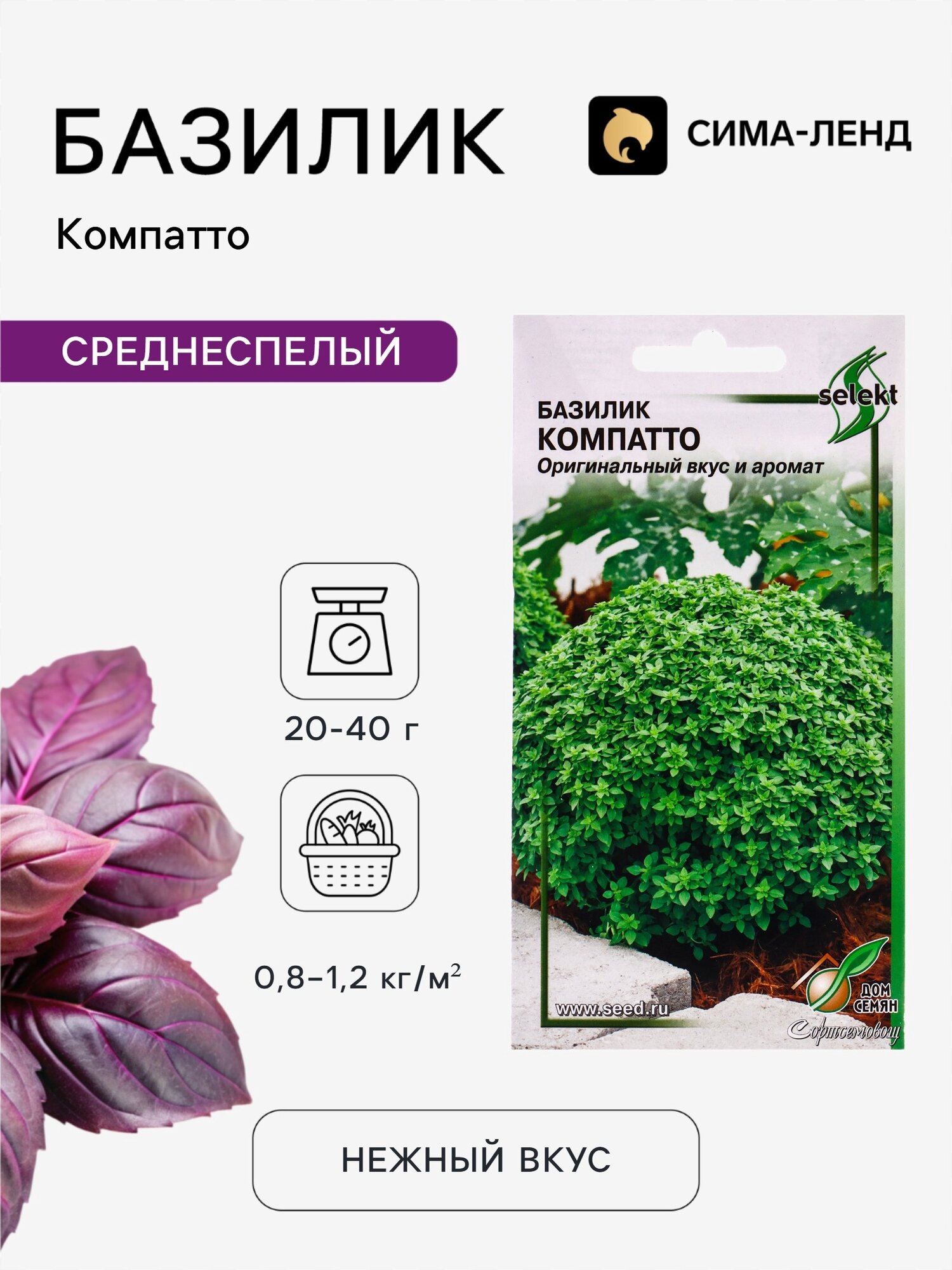 Семена Базилик «Компатто», 210 шт, «Дом семян»
