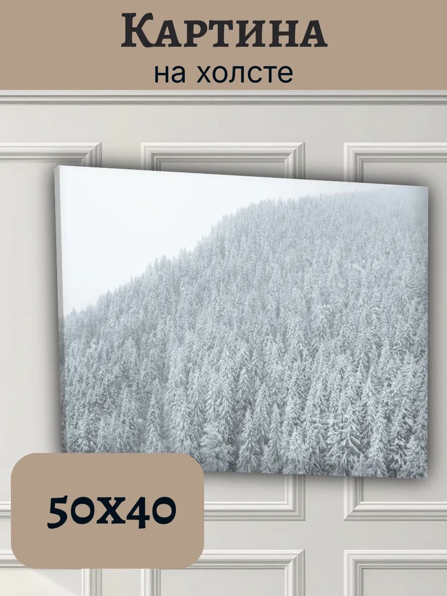 Картина Финляндия Finland 40x50 зимний лес
