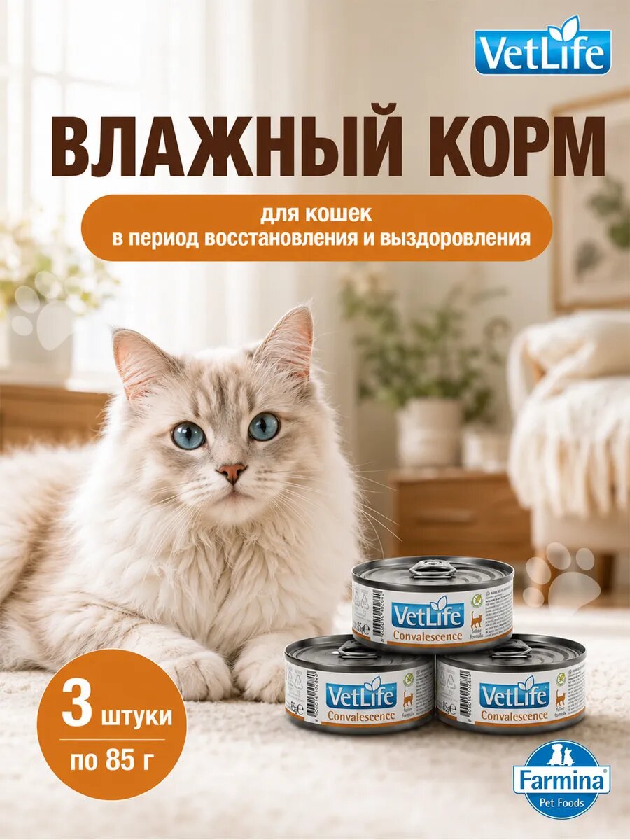 Влажный корм для кошек в период выздоровления Farmina Vet Life Convalescence 85 грамм 3 шт.