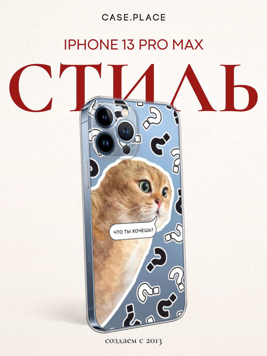 Чехол на Apple iPhone 13 Pro Max / Айфон 13 Pro Max с принтом С котом парный, прозрачный