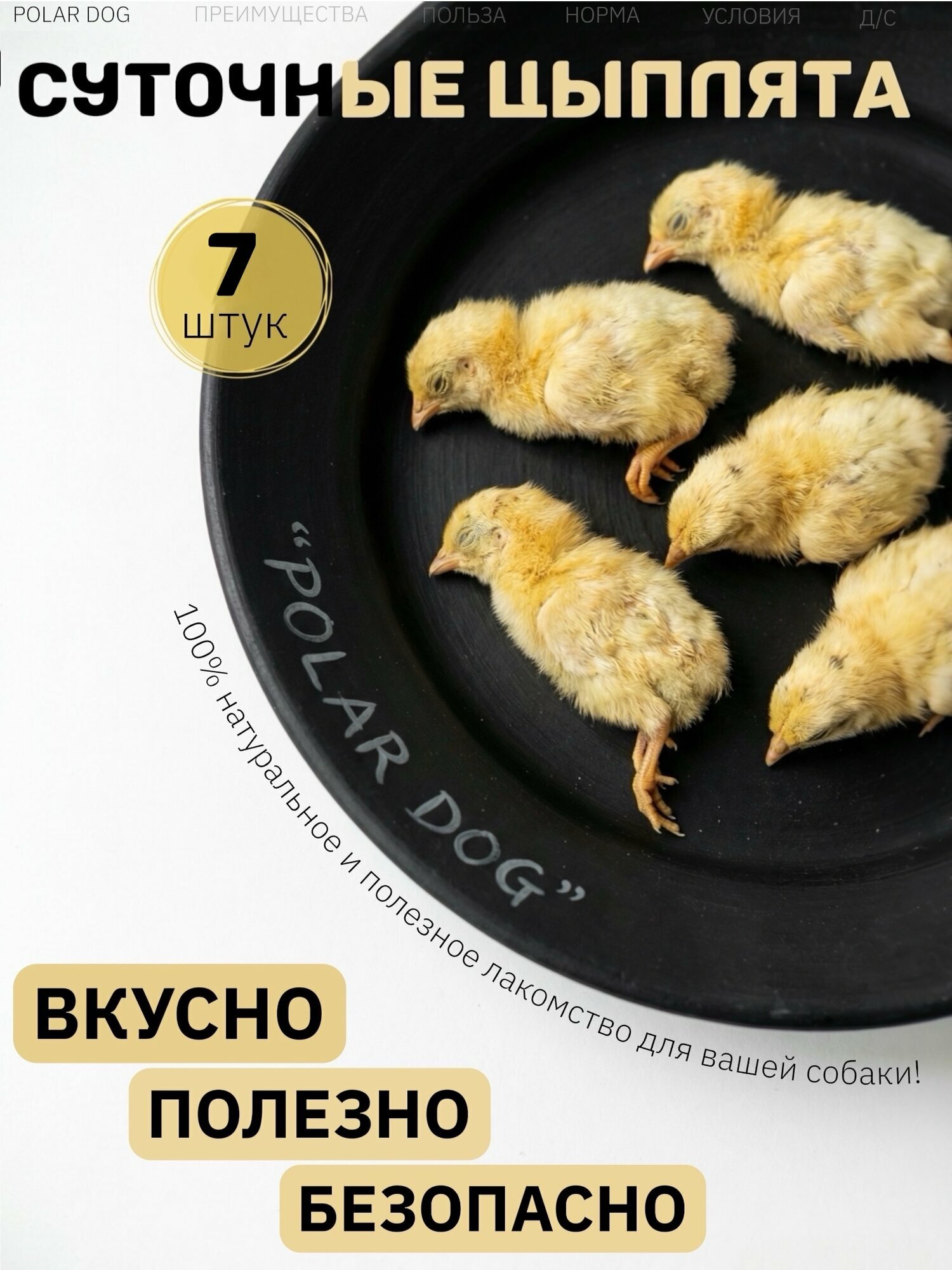 Лакомство для собак "Polar Dog" сушеные суточные цыплята, 7шт