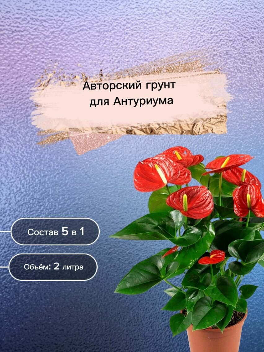 Авторский грунт для Антуриума, 2 литра, 5 в 1