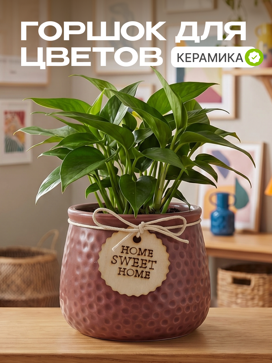 Горшок декоративный для цветов "Home sweet home" бордовый, керамика кашпо для растений, суккулентов и кактусов, для дома