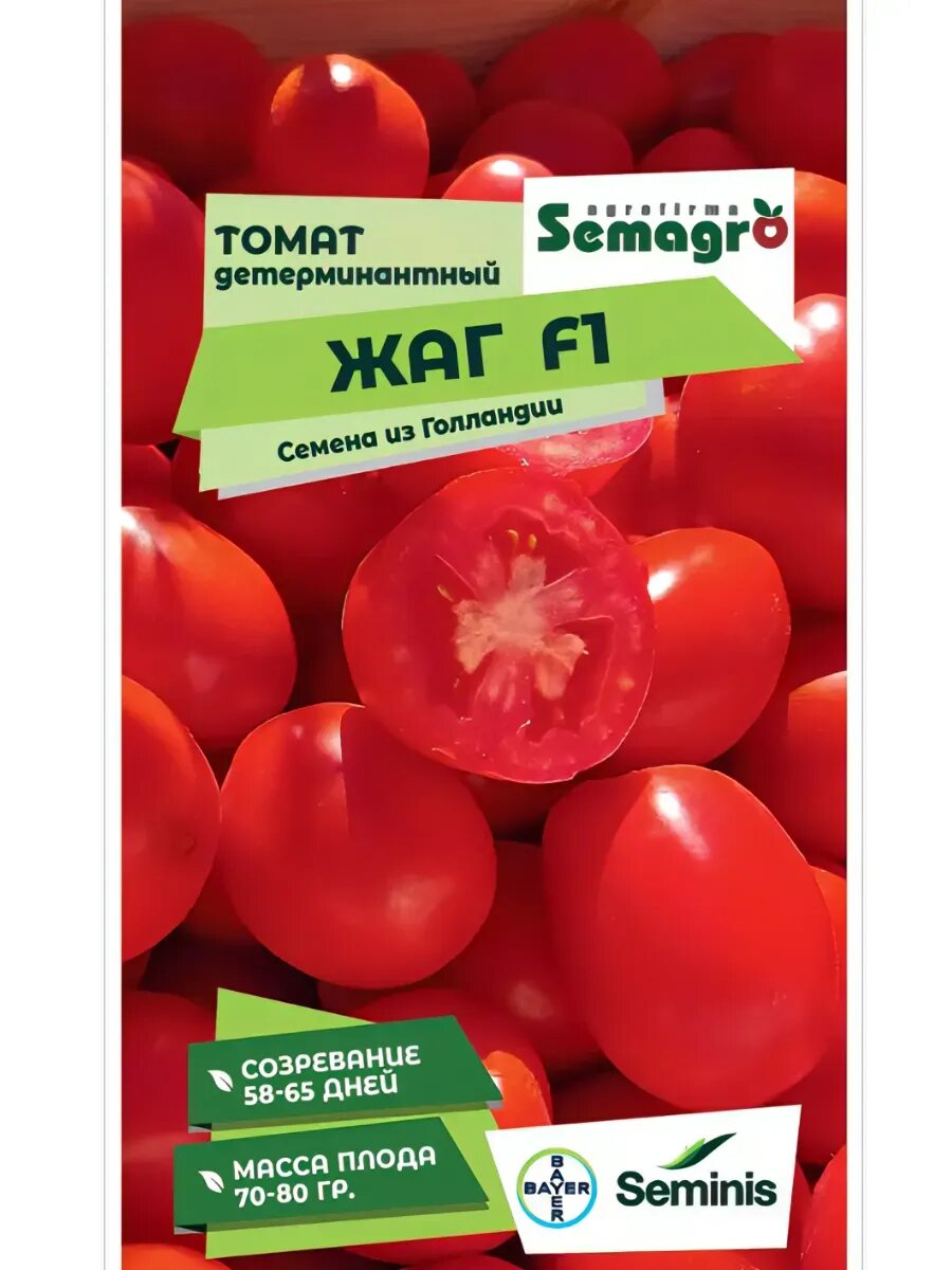 Семена томат Жаг