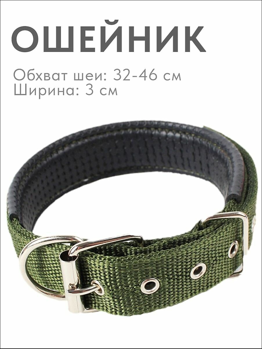 Ошейник для собак крупных и средних пород с мягкой подкладкой ширина 3см