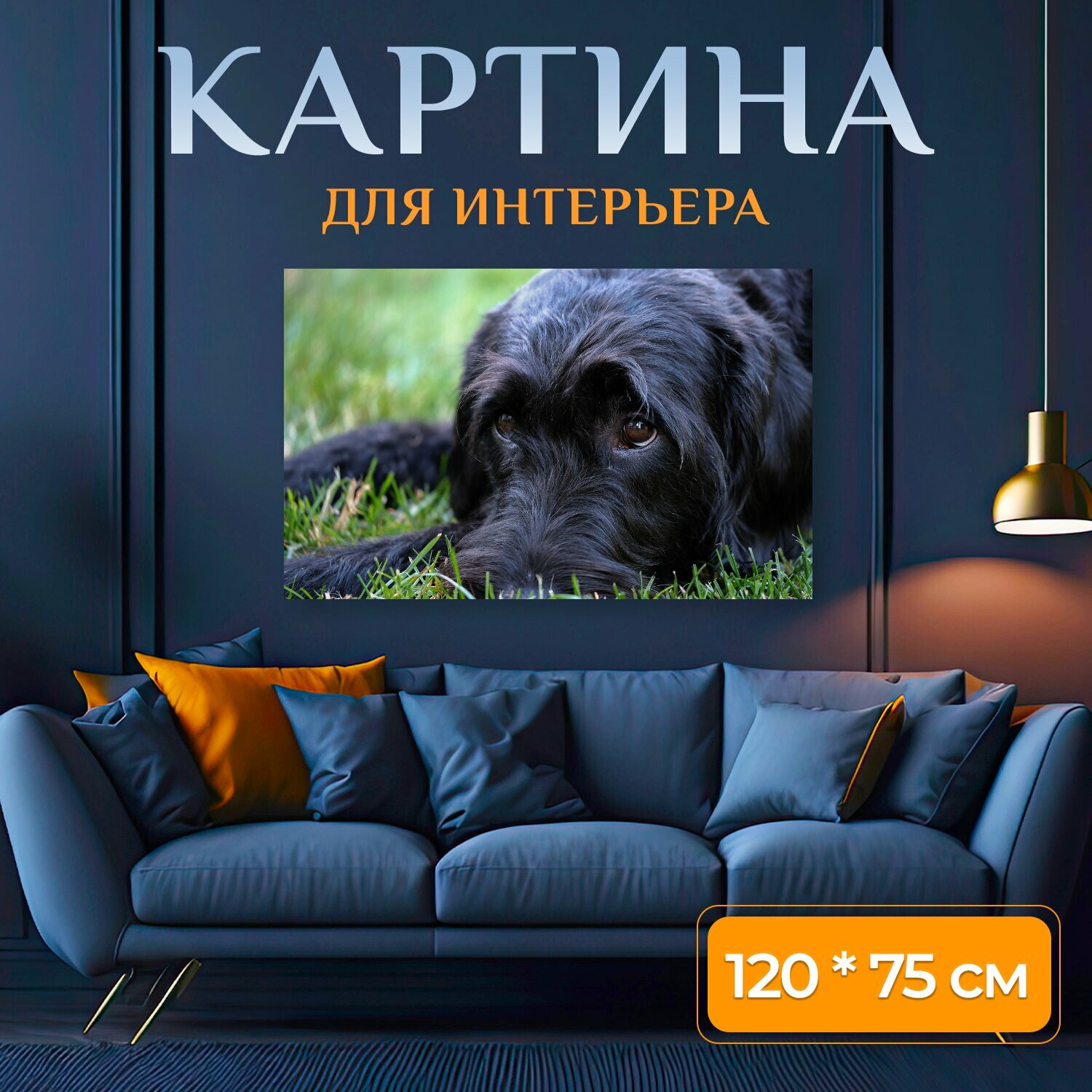 Картина на холсте "Labradoodle, шнауцер, ризеншнауцер" на подрамнике 120х75 см. для интерьера