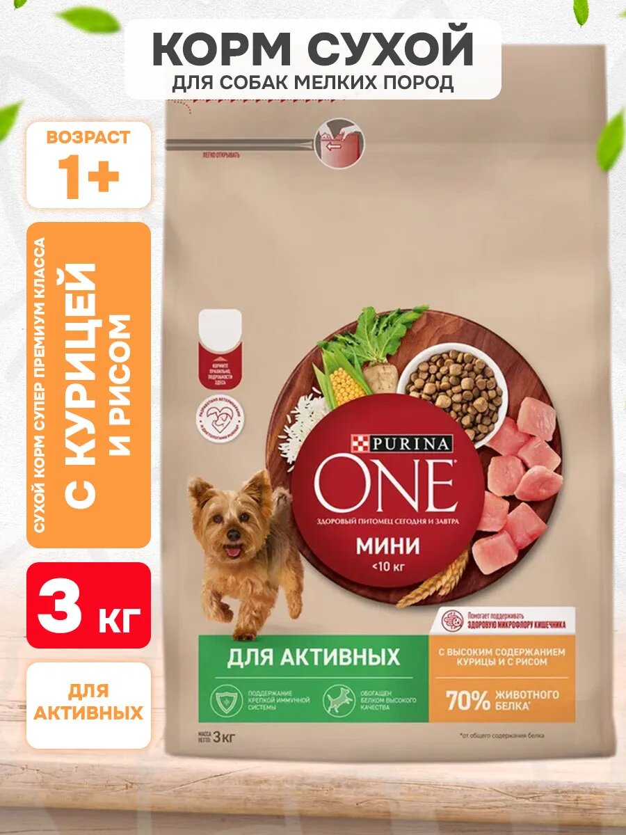 Корм сухой Purina One Мини для взрослых собак мелких и карликовых пород при активном образе жизни, курица и рис, 3 кг