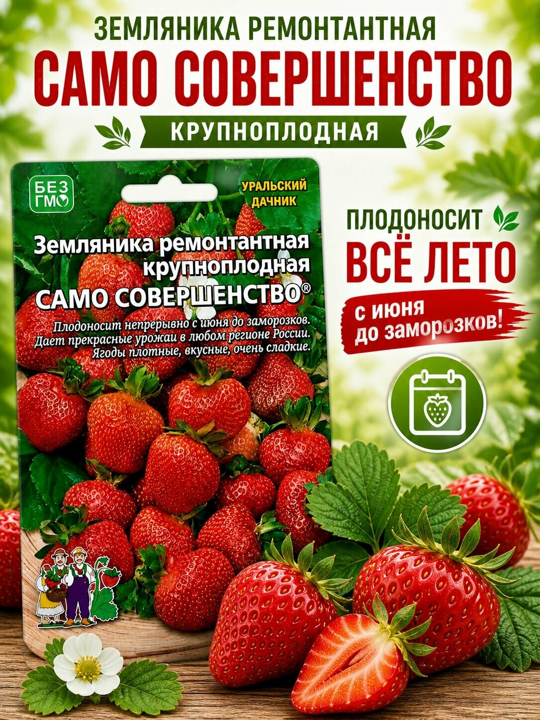 Семена земляники ремонтантной Само совершенство, Уральский дачник