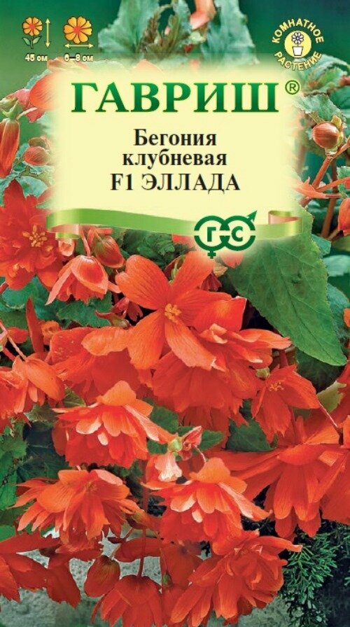 Семена бегонии Гавриш Эллада, ампельная клубневая, 4 шт 002493