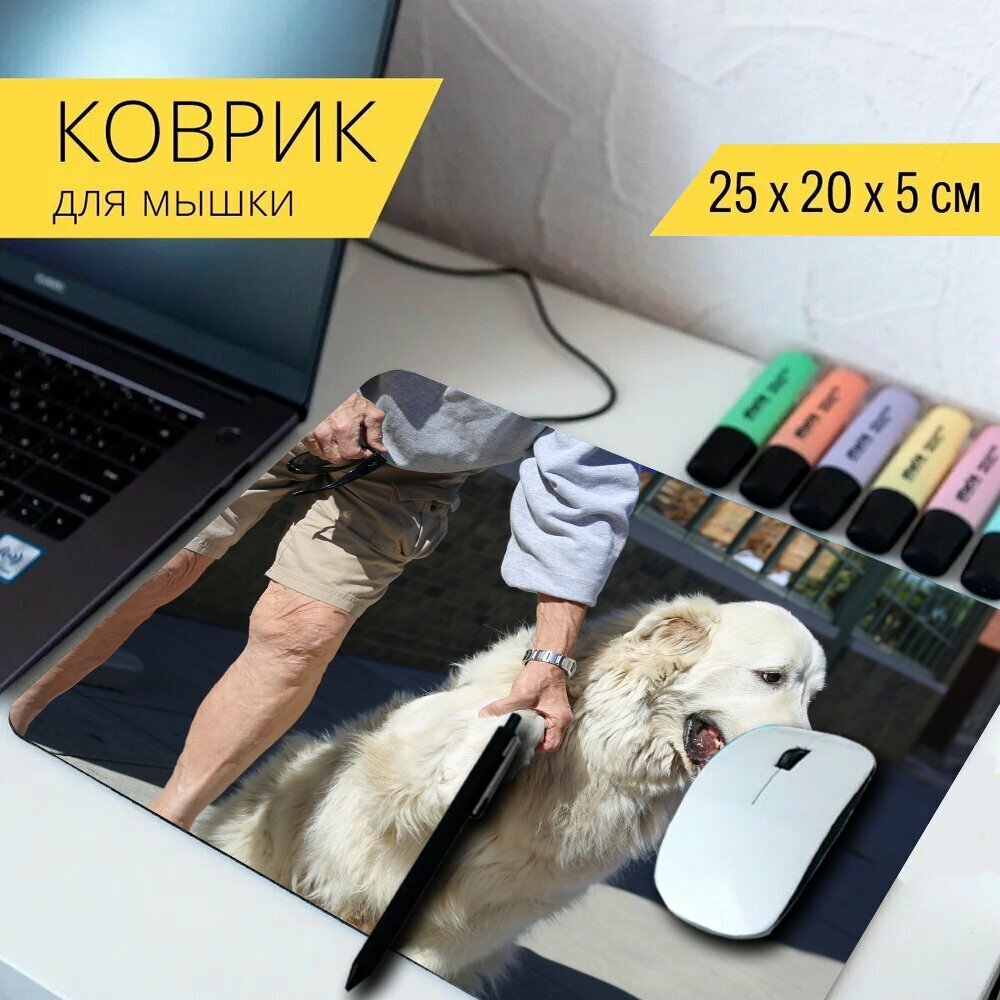 Коврик для мыши с принтом "Собака, ретривер, люди" 25x20см.