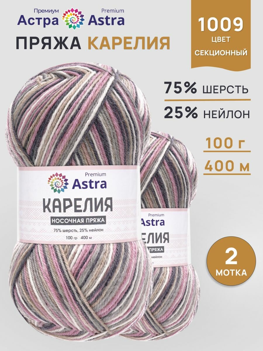 Пряжа для вязания носочная Карелия, 100 г, 400 м, цвет №1009, 2 мотка
