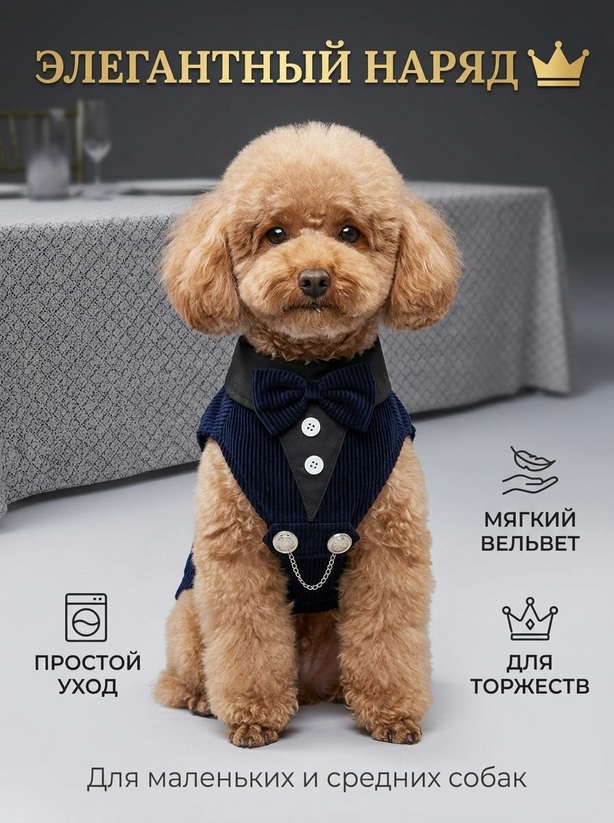 Собачий смокинг с съемной бабочкой, для свадьбы и вечеринки, жилет с кнопками, вельвет, для маленьких и средних собак, темно синий