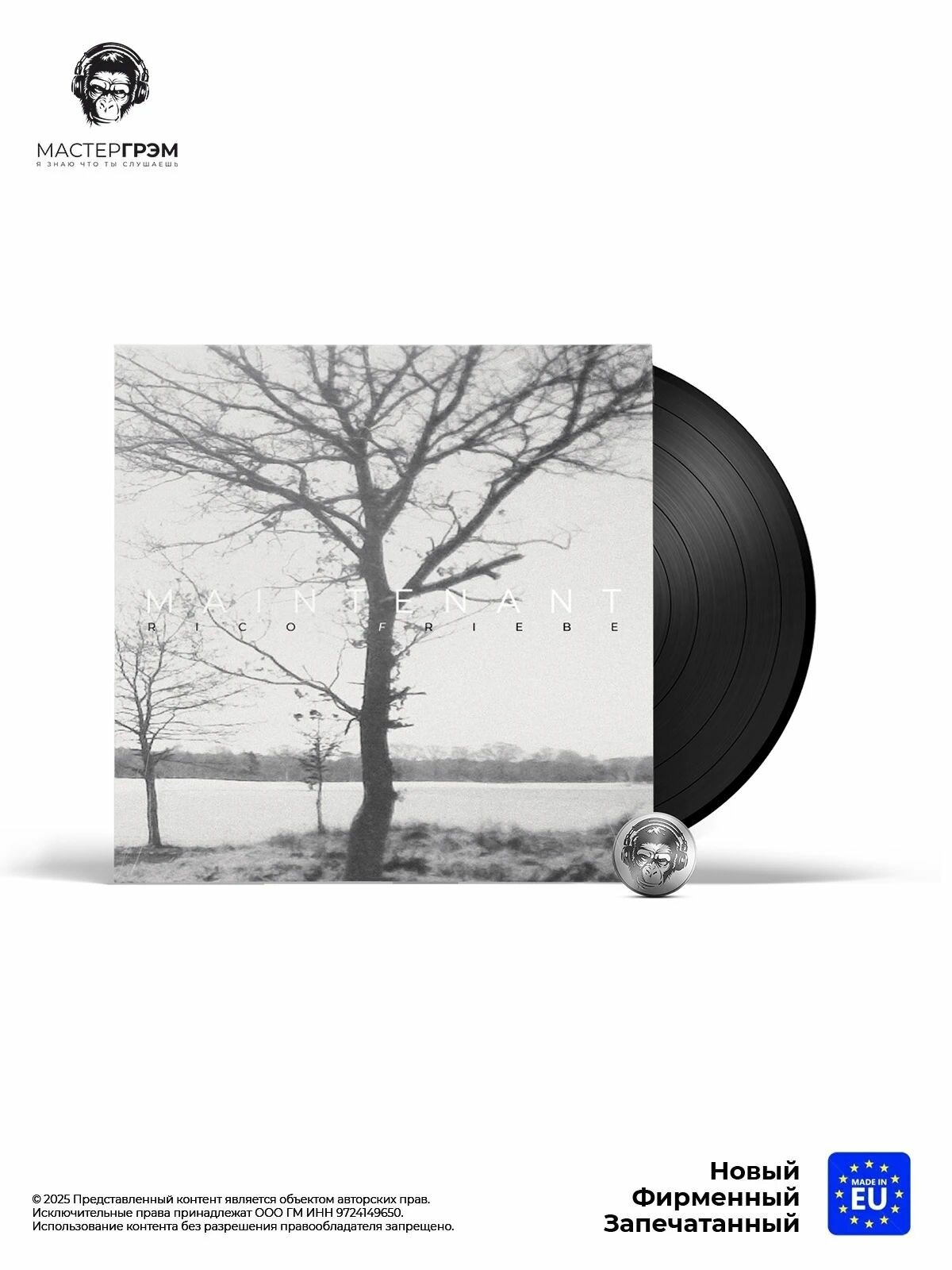 Виниловая пластинка Rico Friebe - Maintenant (LP) 2025