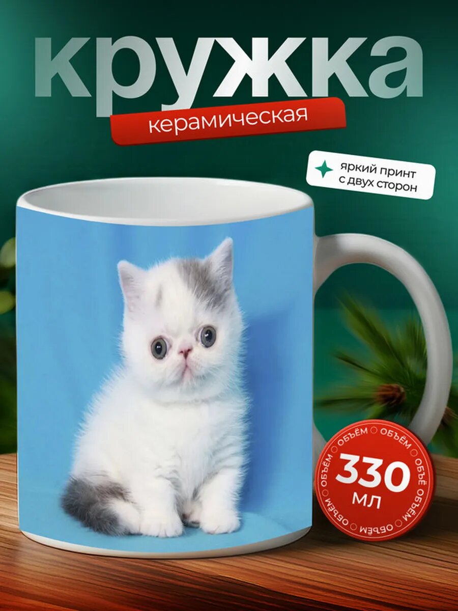 Кружка Иранский персидский кот 33,