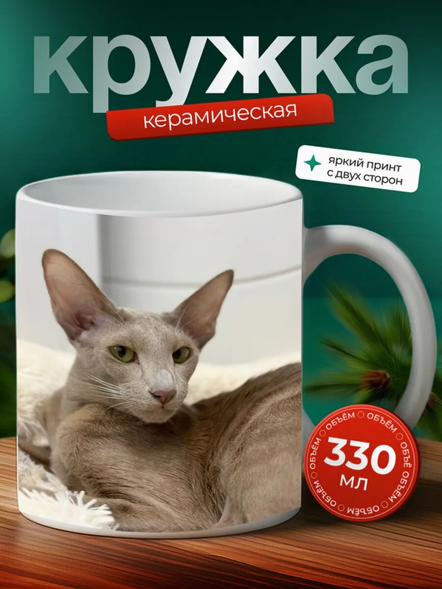 Кружка Греческий олимпийский кот 30,