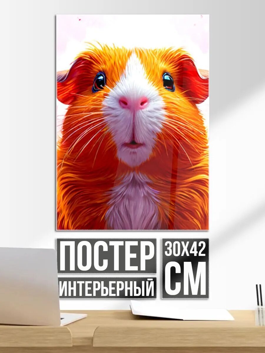 Постер на стену Морская свинка на розовом