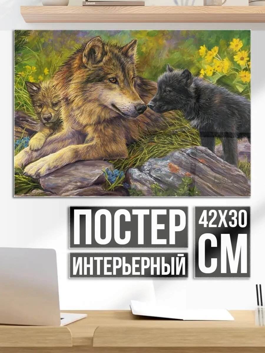 Плакат постер Волчья семья в лесу