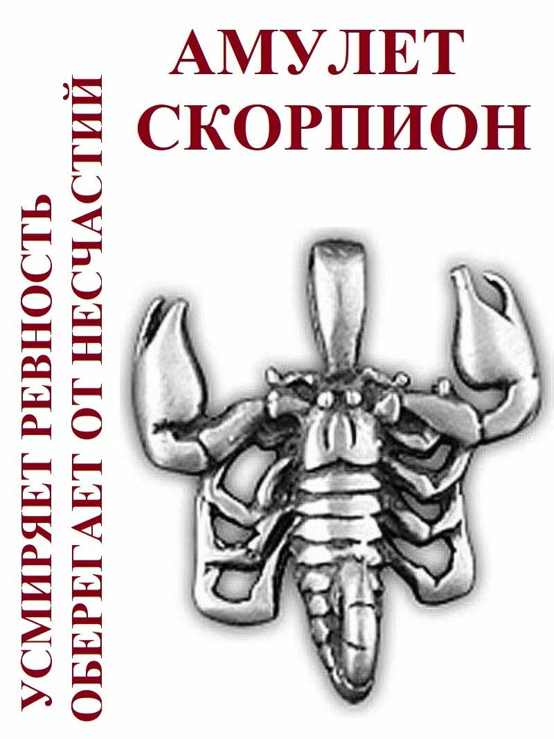 Амулет Скорпион в подарочной коробке — фото 1