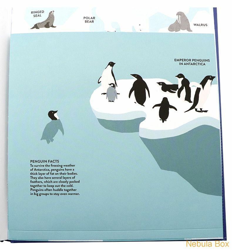 The book “Ocean: The Definitive Visual Guide”, without a brand label — фото 1